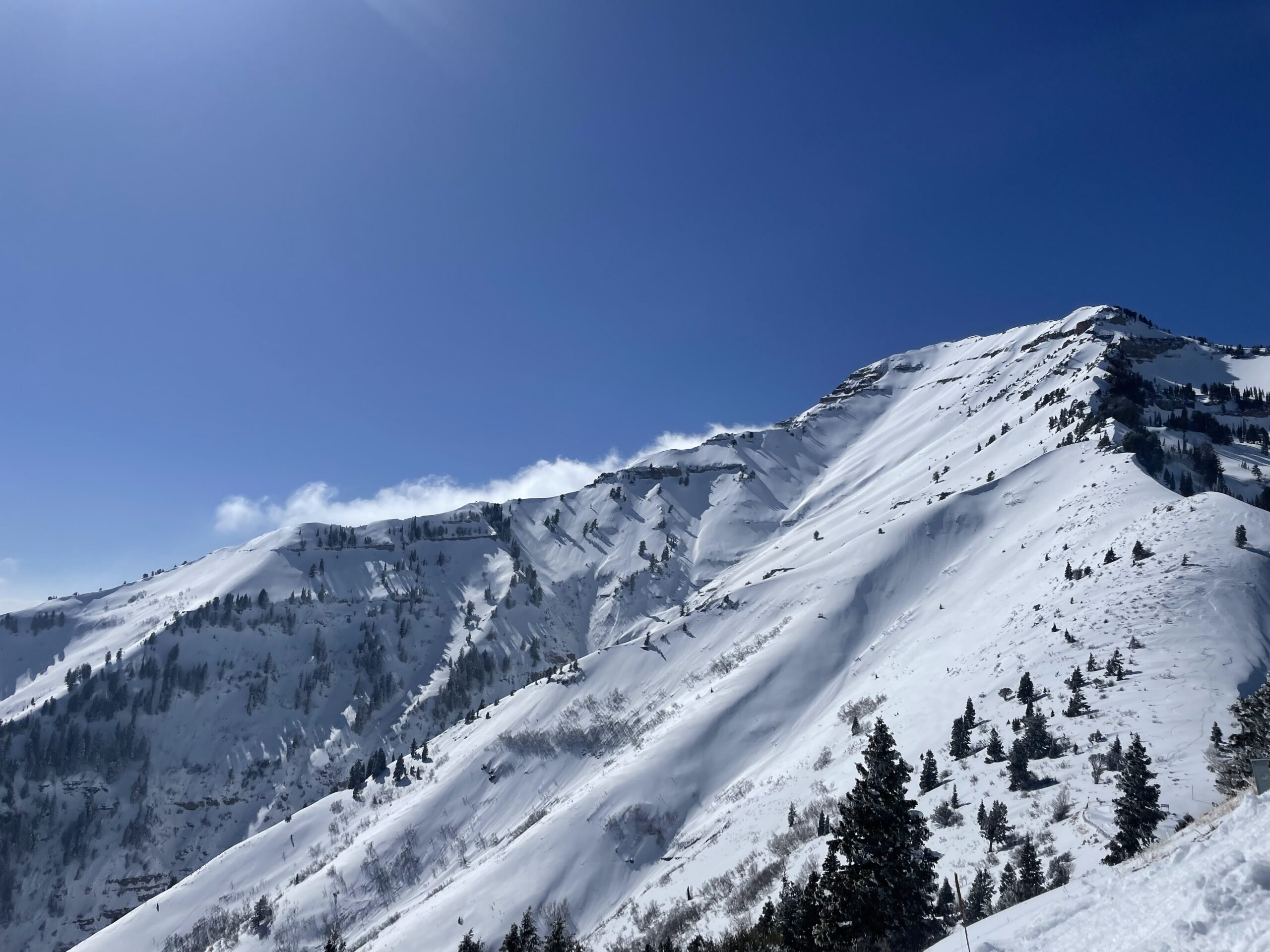 About Crestline Marketing | Utah Web Design & SEO Company